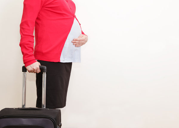 | 5 Tips for Traveling While PregnantThe Hudsucker